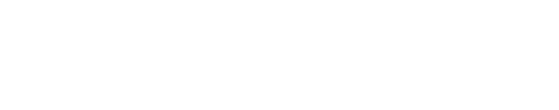 Risa: The AI Assistant That Makes Your Business Smarter